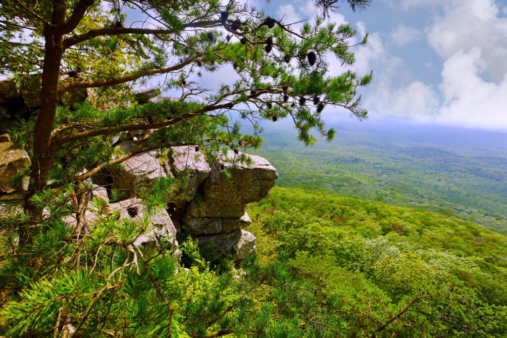 Cheaha State Park: Pulpit Rock (Summer Edition☀️) - blessica this messica